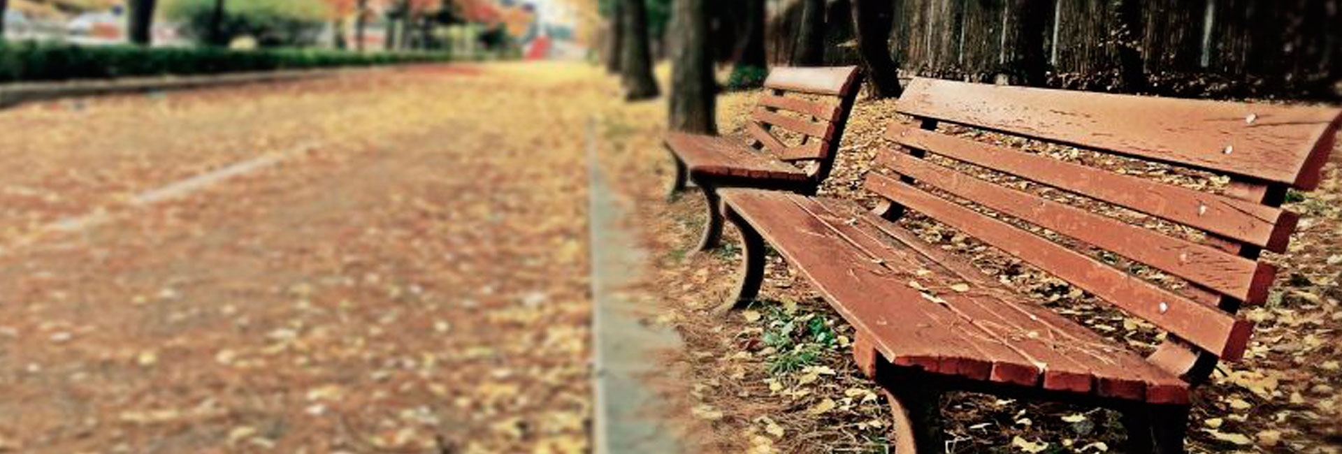 Cuarentena Y Ansiedad Valeria Bedrossian Psicología